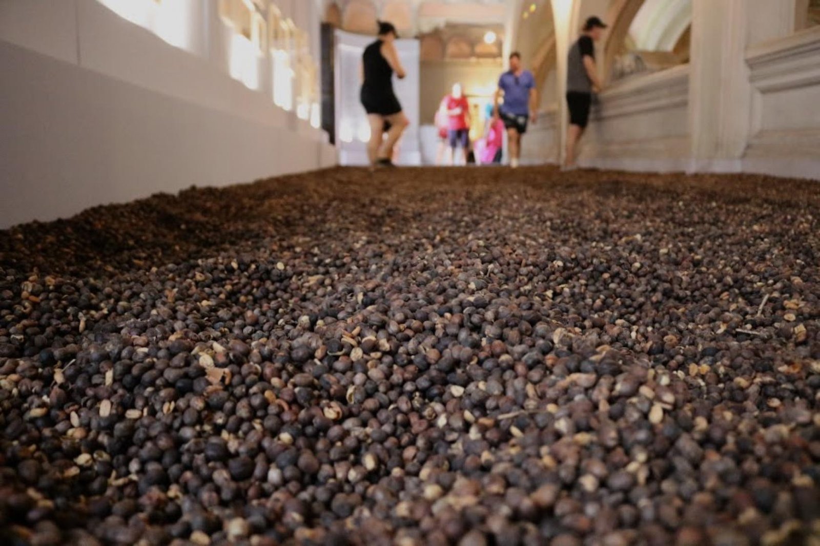 Botucatu recebe exposição multissensorial sobre a tradição do café Botucatu recebe exposição multissensorial sobre a tradição do café